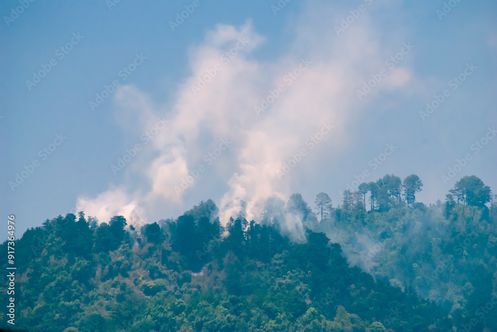 Fire in the forest area of Guatemala, promotion of climate change and ...