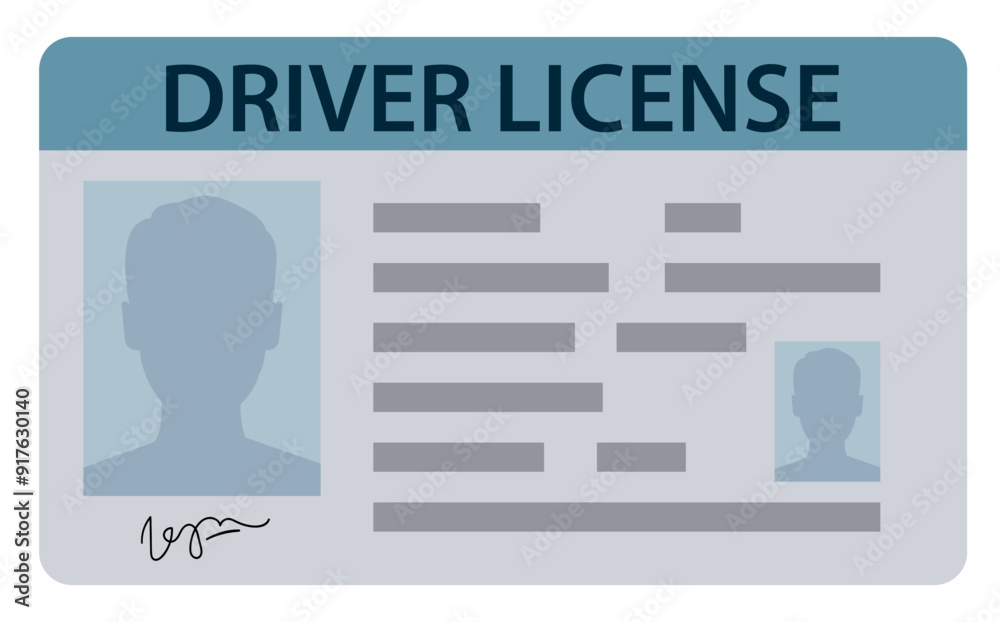 Driver's license. Driving licence vector illustration isolated on white ...