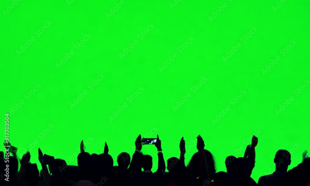 GREEN SCREEN CHROMA KEY Model released, back view of huge crowd ...