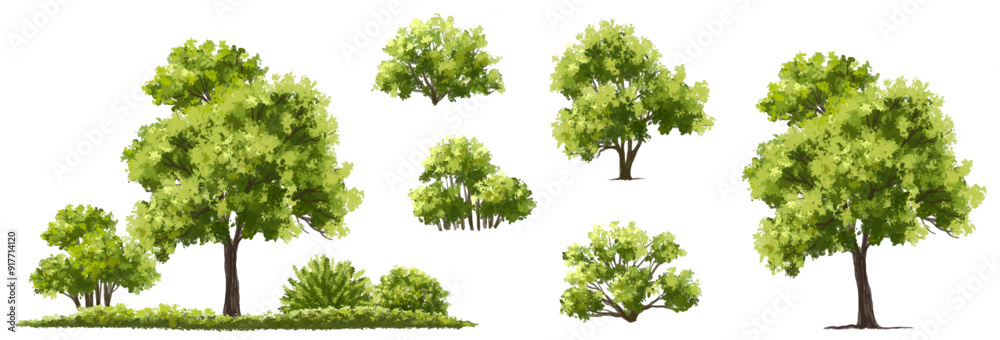Vector watercolor green tree or forest side view isolated on white ...