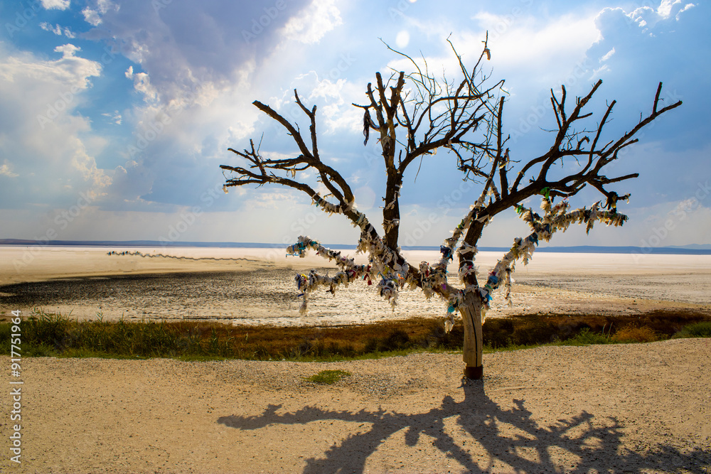 Wish Tree branches. Wish, hope, tradition and ritual concept. People ...