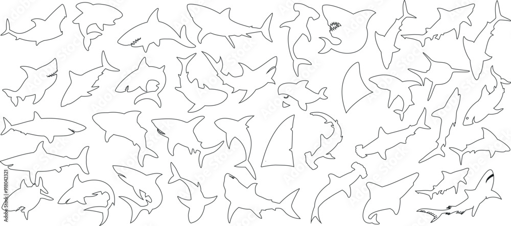 Shark line art set, vector shark outline, marine life, fin, hammerhead ...