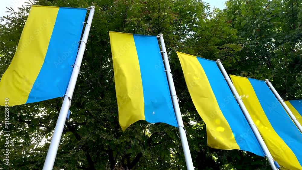 A row of flagpoles of Ukraine flags flying in the wind in front of the ...