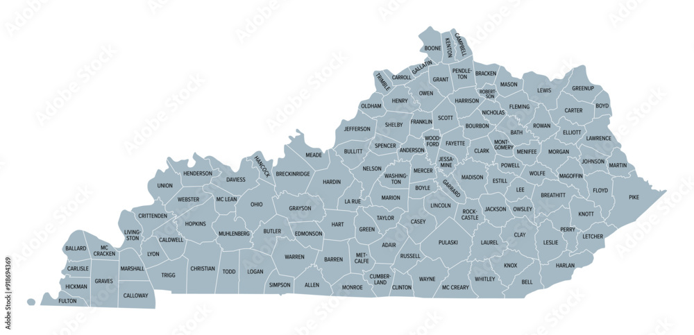Kentucky, U.S. state subdivided into 120 counties, gray political map ...