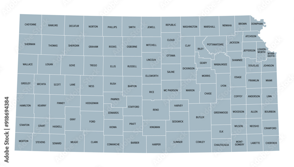 Kansas, U.S. state subdivided into 105 counties, gray political map ...