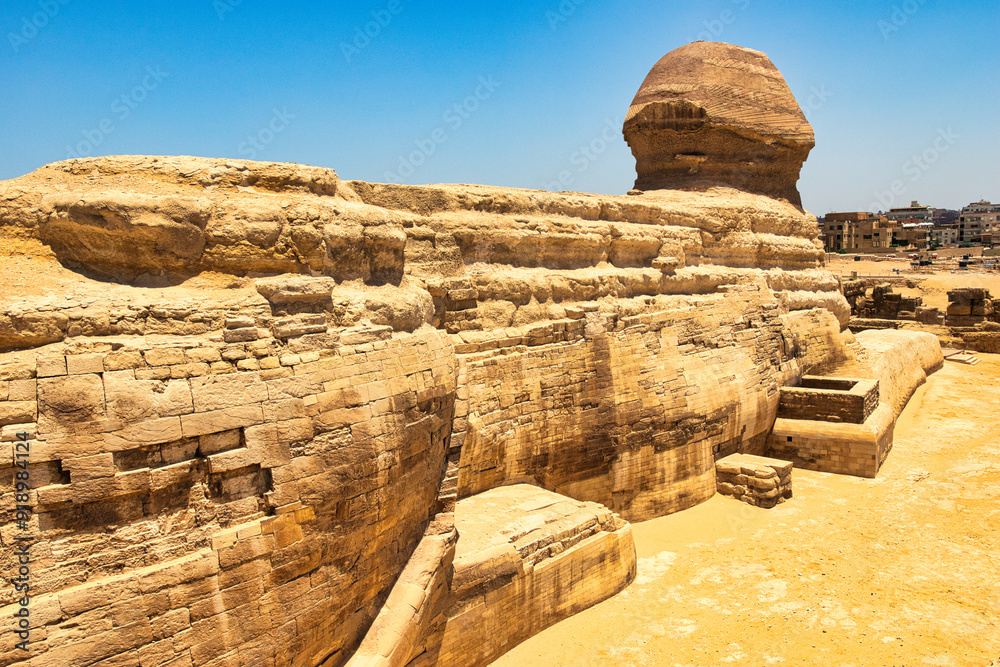 CAIRO EGYPT 06 12 23: Great Sphinx of Giza statue of a reclining sphinx ...