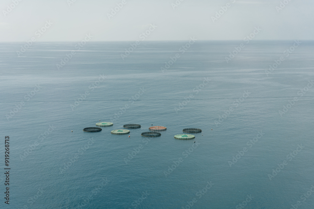 Aquaculture farming, fish growing cages in Atlantic ocean on Madeira ...