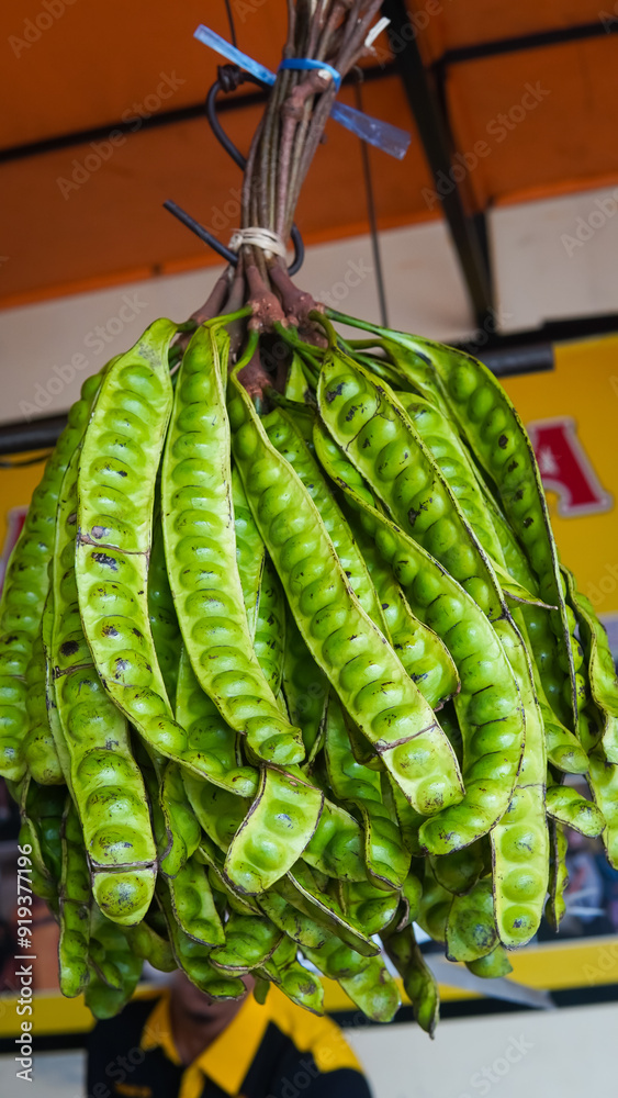 Raw of petai or pete (Parkia speciosa). Usually eaten raw and cooked ...