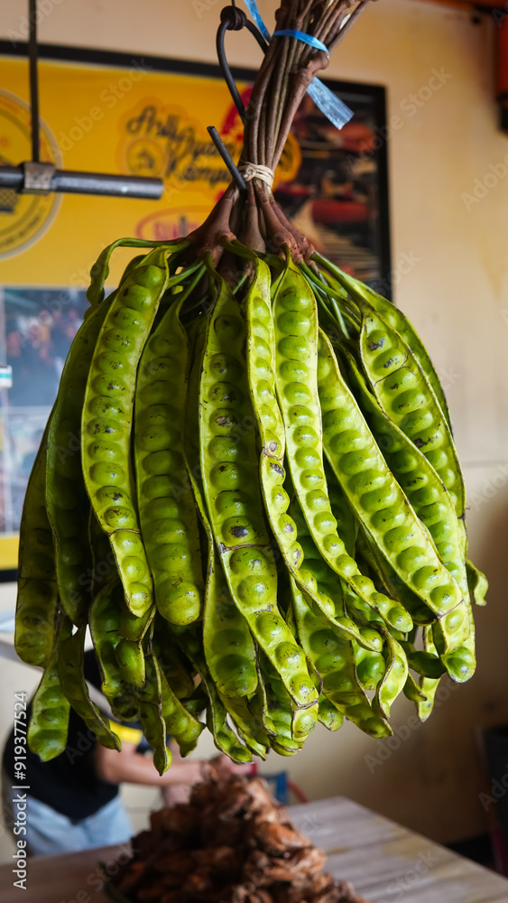 Raw of petai or pete (Parkia speciosa). Usually eaten raw and cooked ...