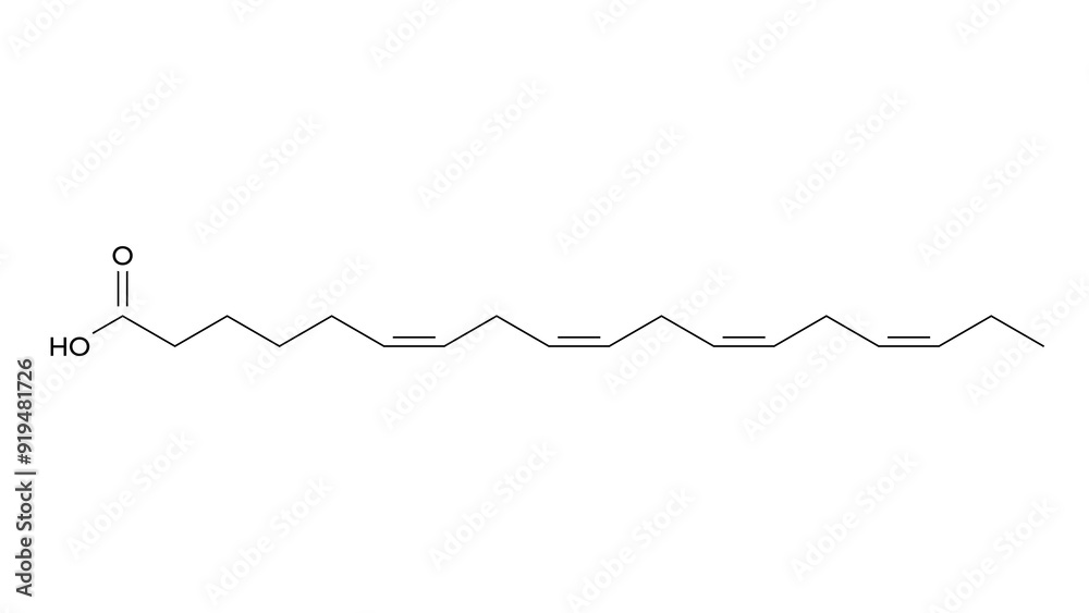 stearidonic acid molecule, structural chemical formula, ball-and-stick ...