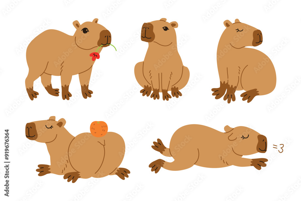 Cute capybara in various poses vector illustration set Funny capibara ...