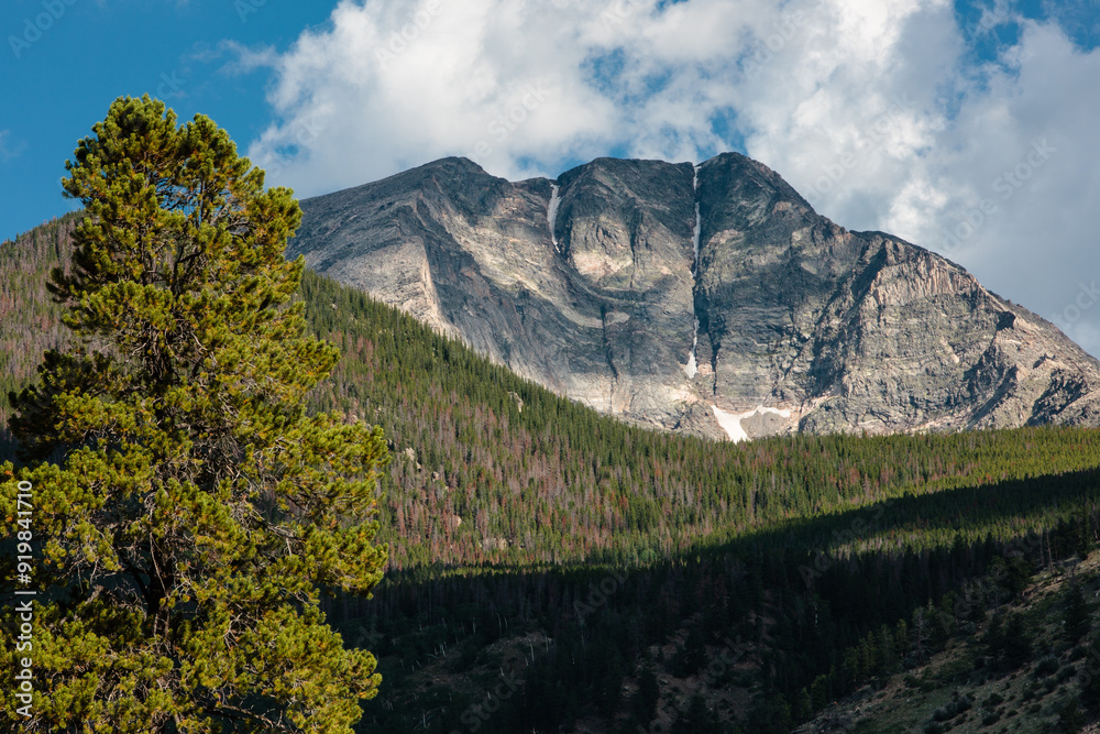 Ypsilon Mountain in the distance, as viewed from Horseshoe Park, Rocky ...