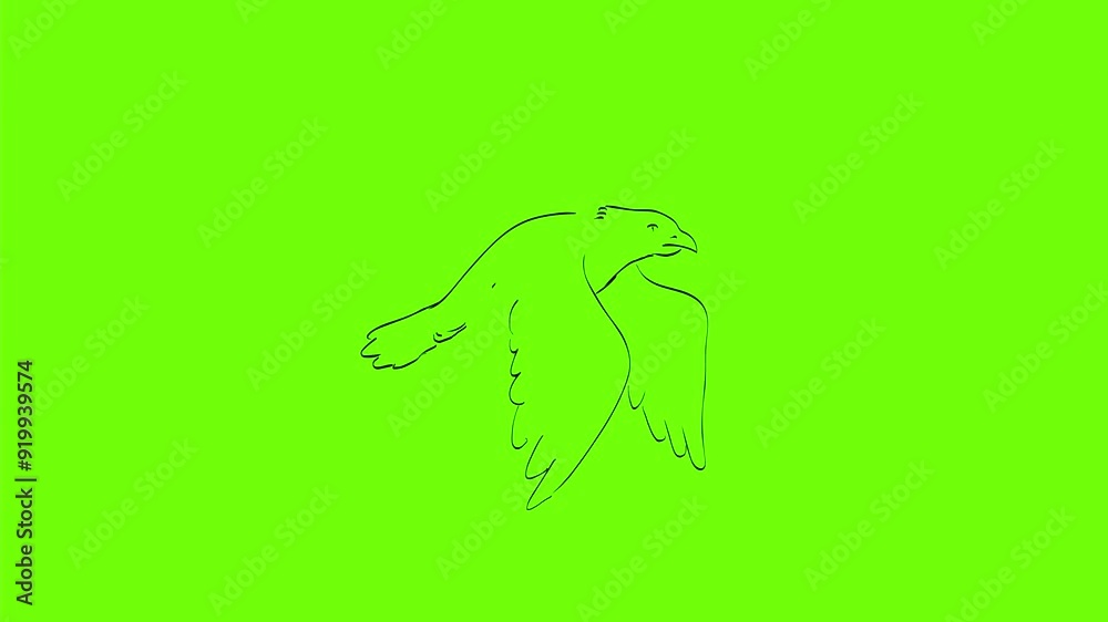 2d Animation motion graphics showing a drawing of bird flying to right ...