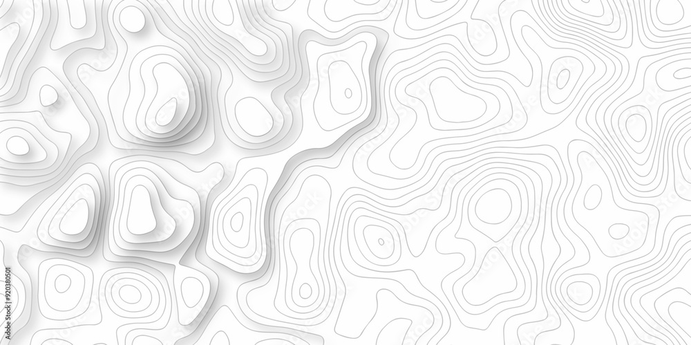 Abstract vector black wave curve Topography grid map. white wave line ...