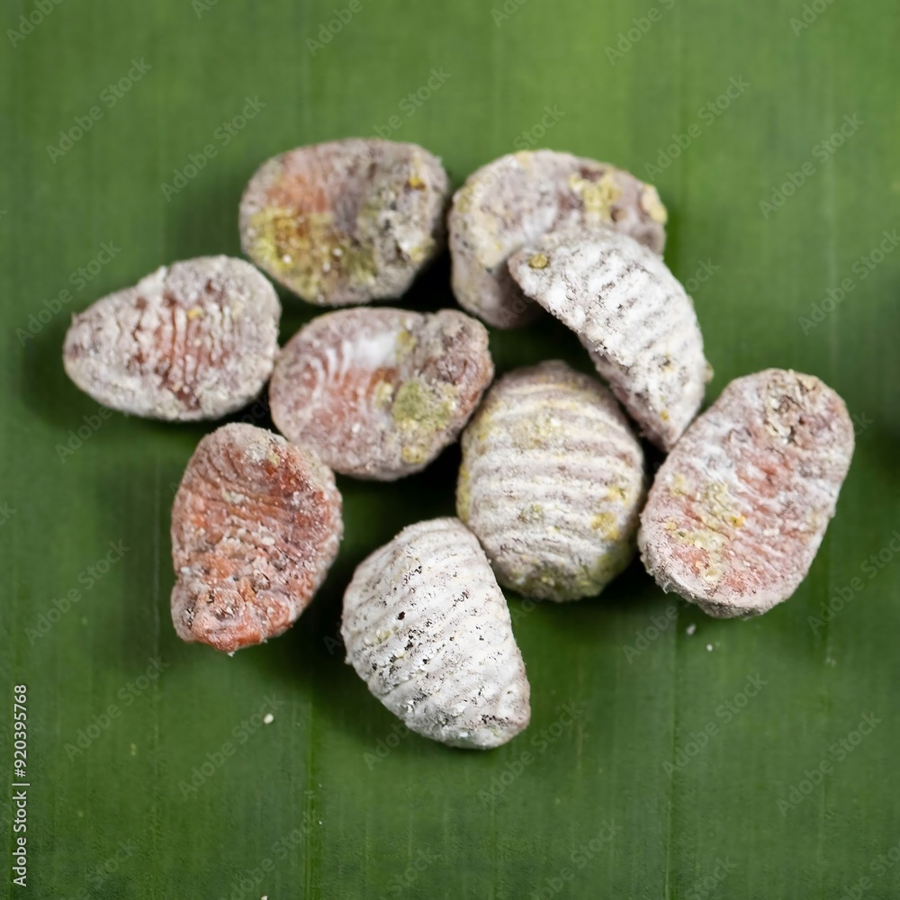 larvae of cicada is walking up on a screen for window in Japan. Without ...