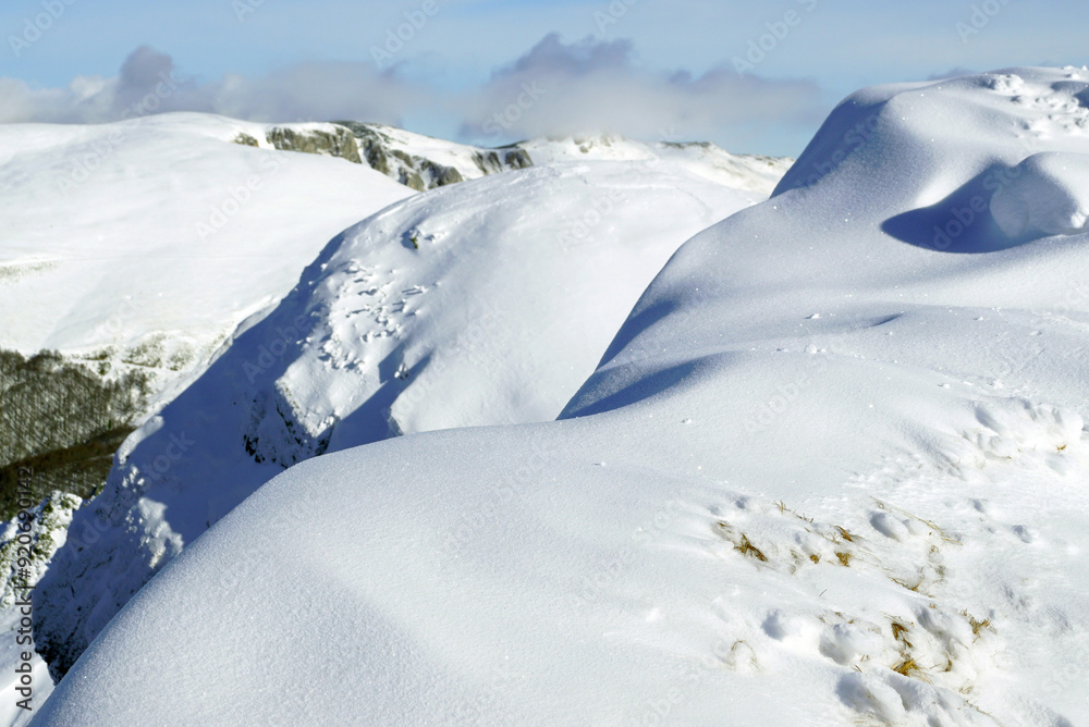 Snow-covered mountains in Biogradska Gora National Park: view of slopes ...