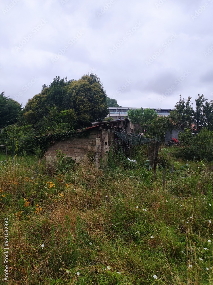 Terrain Abandonné à Vendre