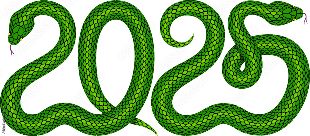 Vector design of two green snakes intertwined in the shape of the ...