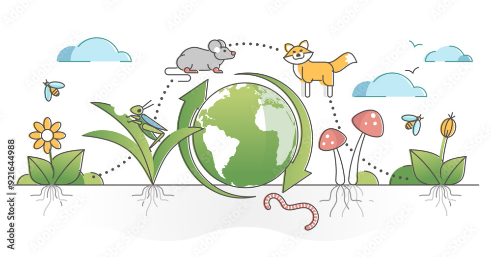 Food chain process cycle with producers and apex predators outline ...