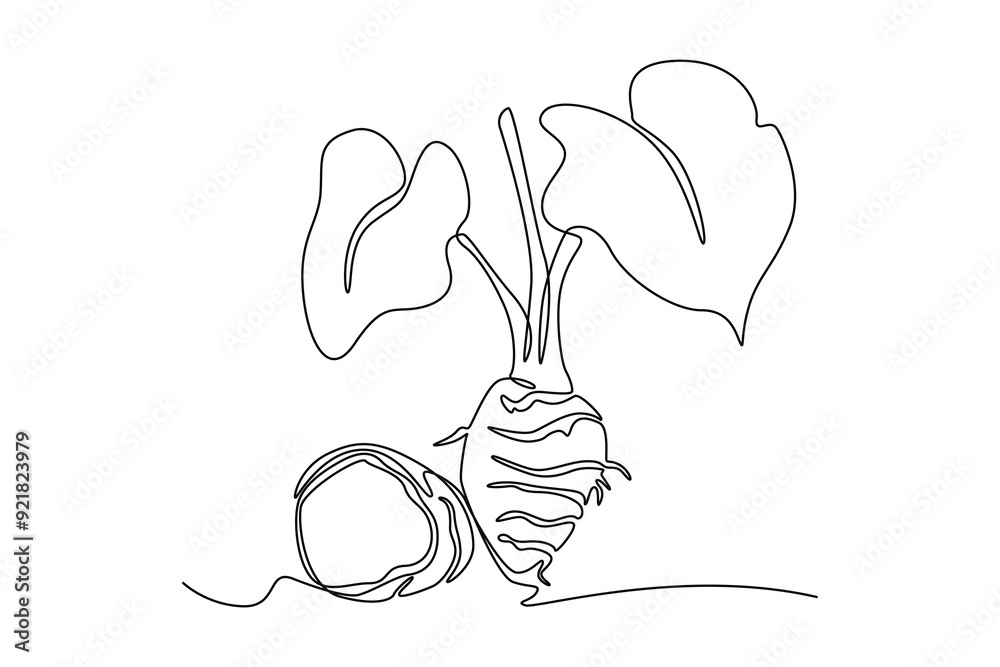 Single one line drawing of whole healthy organic taro for gardening ...