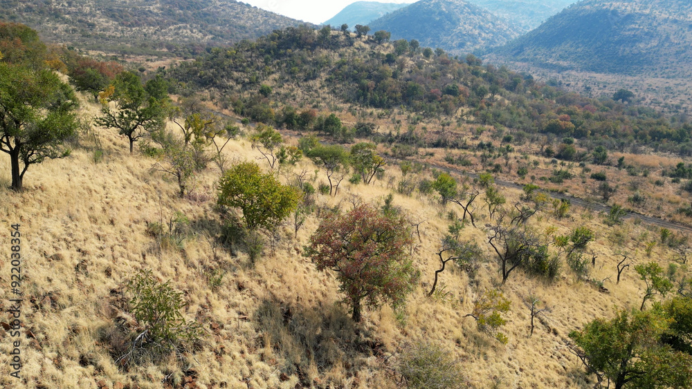 Pilanesberg Park At Rustenburg In North West South Africa. African ...
