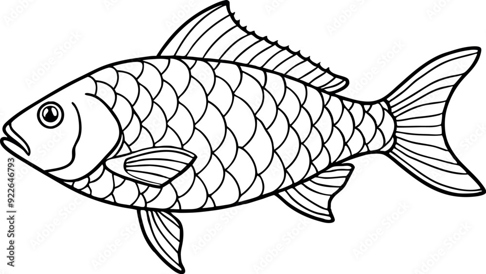 Poster Black and White Fish Outline Illustration for Coloring Page ...