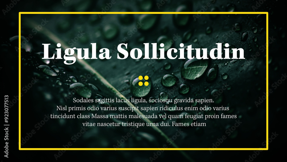 Clean Modern Text Slides Stock Template | Adobe Stock