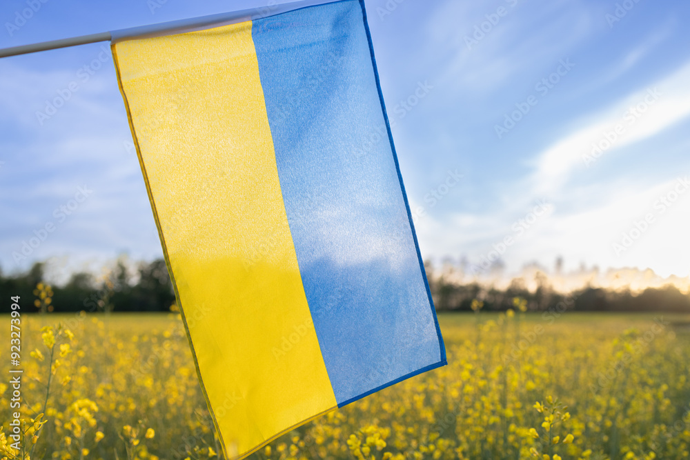 Ukrainian yellow-blue flag against the backdrop of a beautifully ...