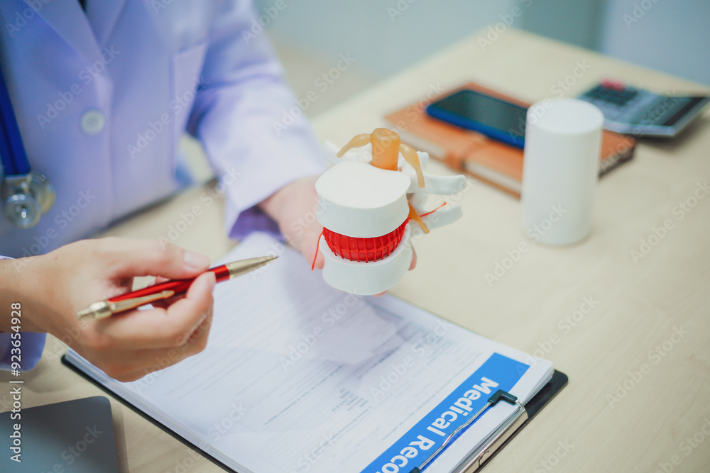 Orthopedist and surgeon using model or anatomical model of spine to ...