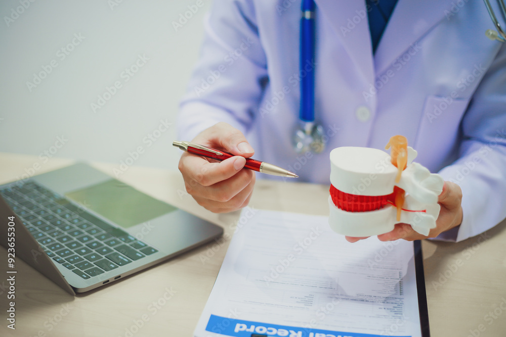 Orthopedist and surgeon using model or anatomical model of spine to ...