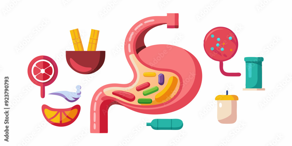 3D stomach vector set, esophagus icon kit, anatomy medical illustration ...