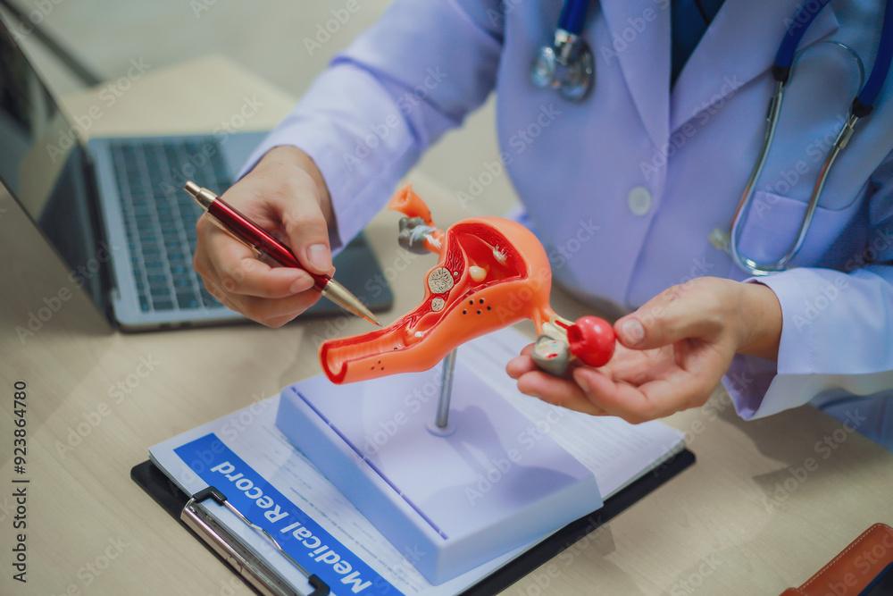 Urologists measure the size of the female genitalia using the Female ...