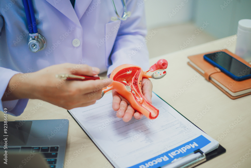 Foto de Urologists measure the size of the female genitalia using the ...