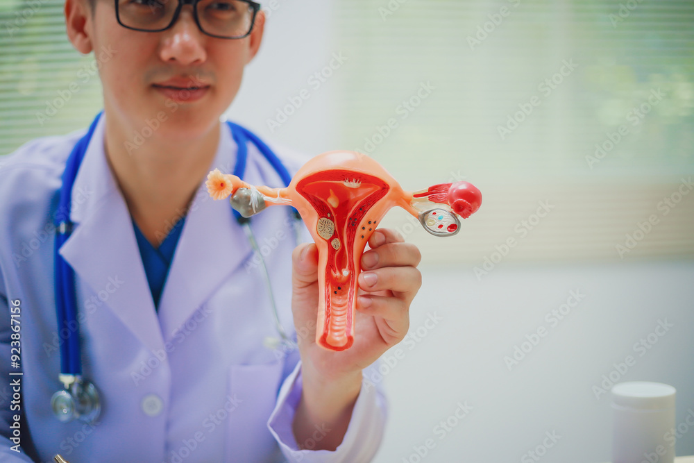 Urologists measure the size of the female genitalia using the Female ...