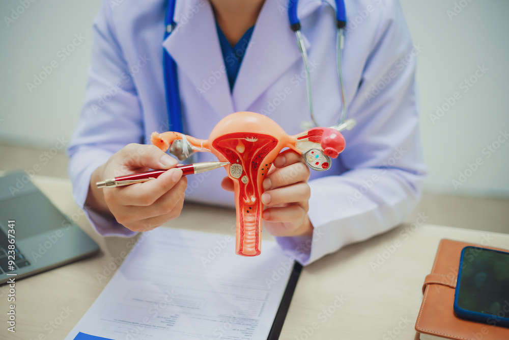 Urologists measure the size of the female genitalia using the Female ...