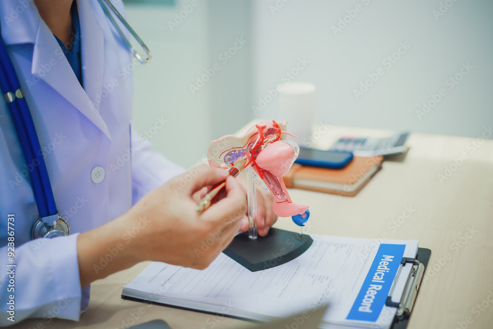 Urologists measure the size of the female genitalia using the Female ...