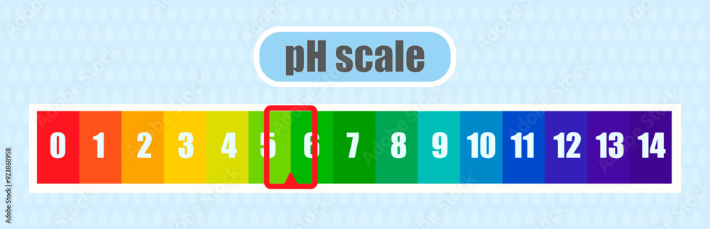 pH value scale chart for acid and alkaline solutions, acid-base balance ...