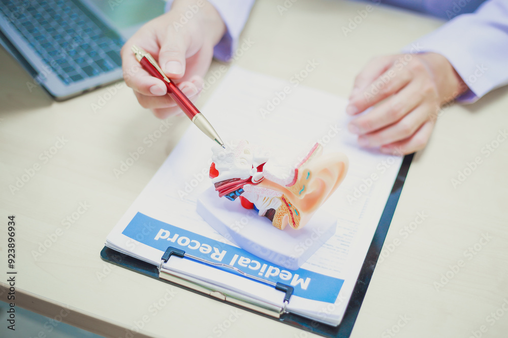 Doctor with human ear anatomy model, ear disease, otitis media ...