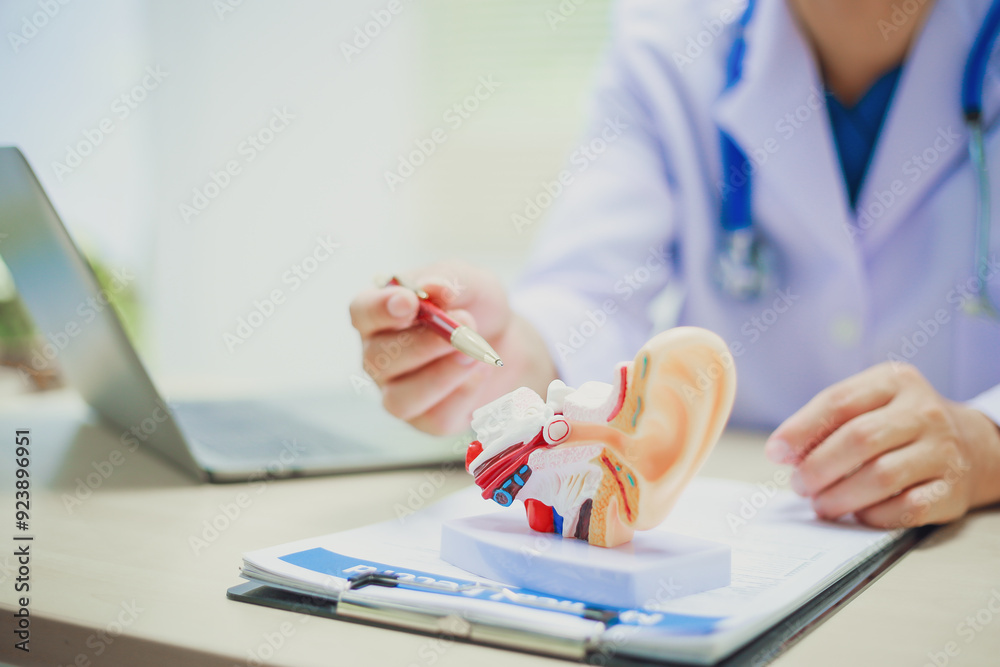 Doctor with human ear anatomy model, ear disease, otitis media ...