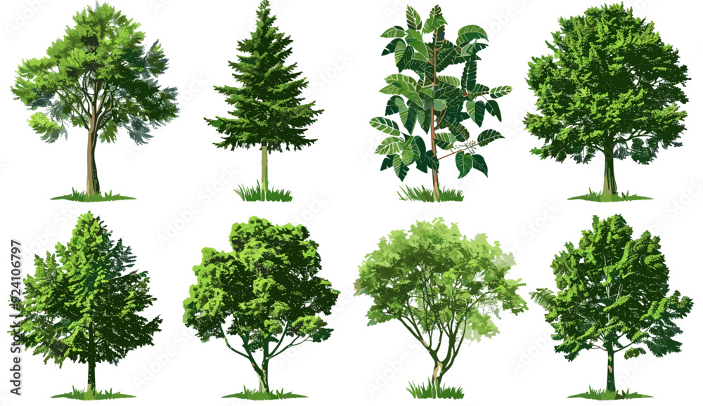 3D vector illustration of tropical trees isolated for architecture ...