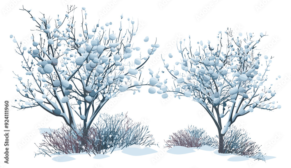 vector illustration Snowy frigid on shrubs bush, bush branches covered ...