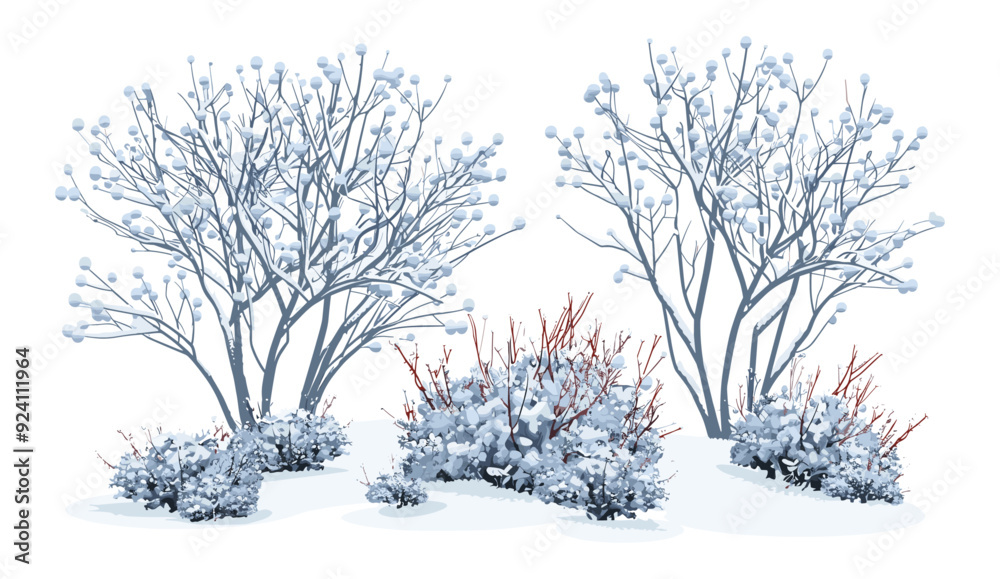vector illustration Snowy frigid on shrubs bush, bush branches covered ...