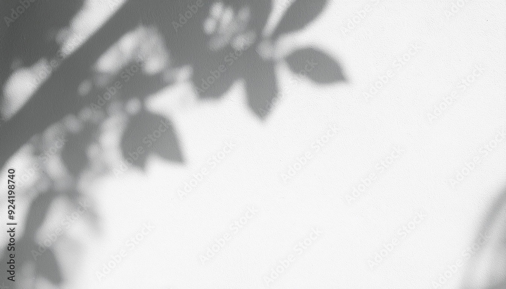 Leaf shadow and light on wall background. Nature tropical leaves tree ...