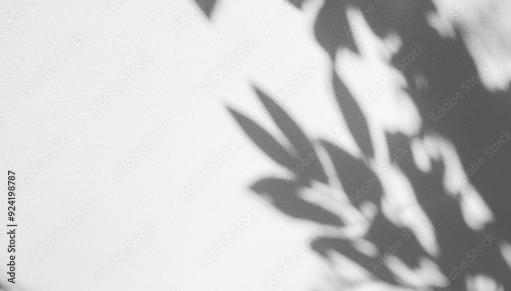 Leaf shadow and light on wall background. Nature tropical leaves tree ...