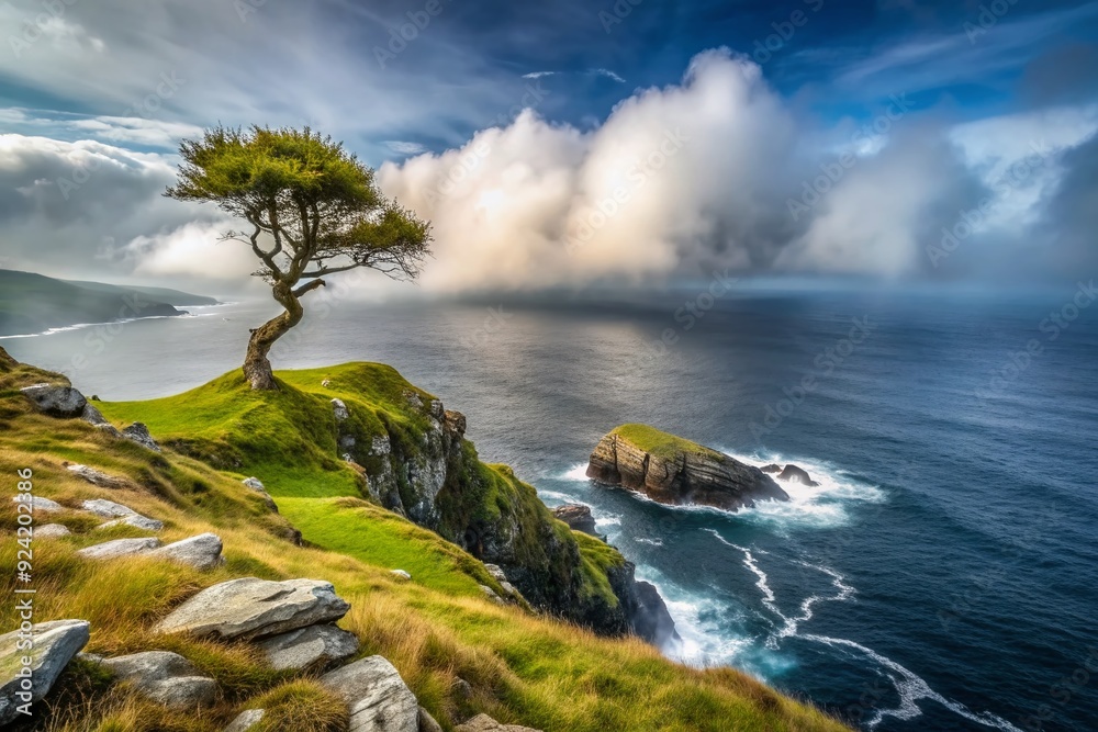 Isolated tree stands sentinel amidst eerie mist and low-hanging clouds ...