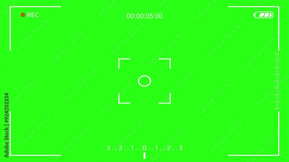 Video Recording frame layout viewfinder, mirrorless cam viewfinder ...