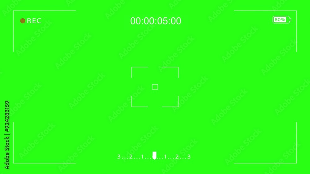 Video Recording frame layout viewfinder, mirrorless cam viewfinder ...