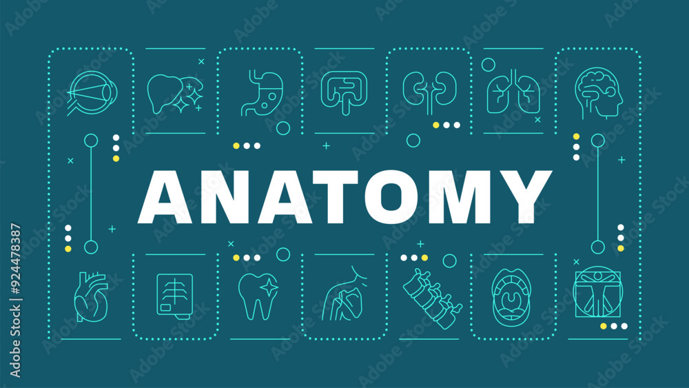 Anatomy blue word concept. Academic discipline. Medical education ...