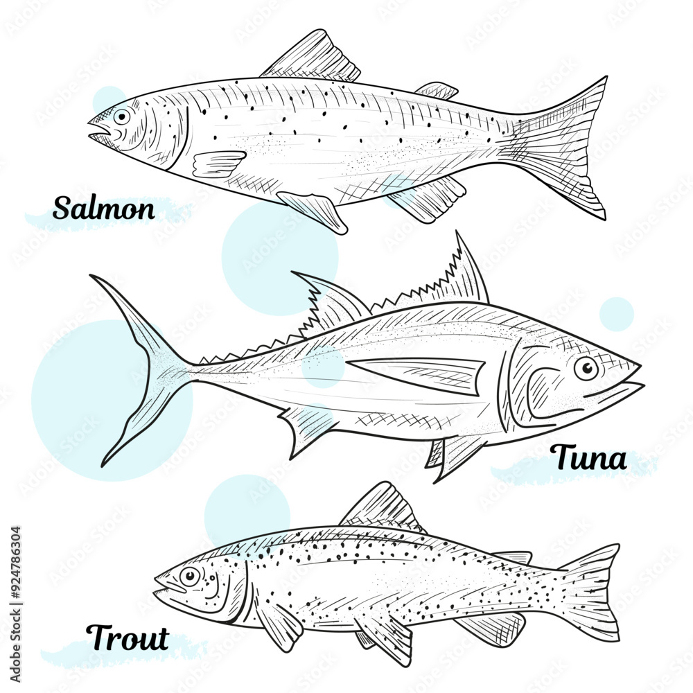 Fish sketch collection. Hand drawn vector illustration. Seafood. Food ...
