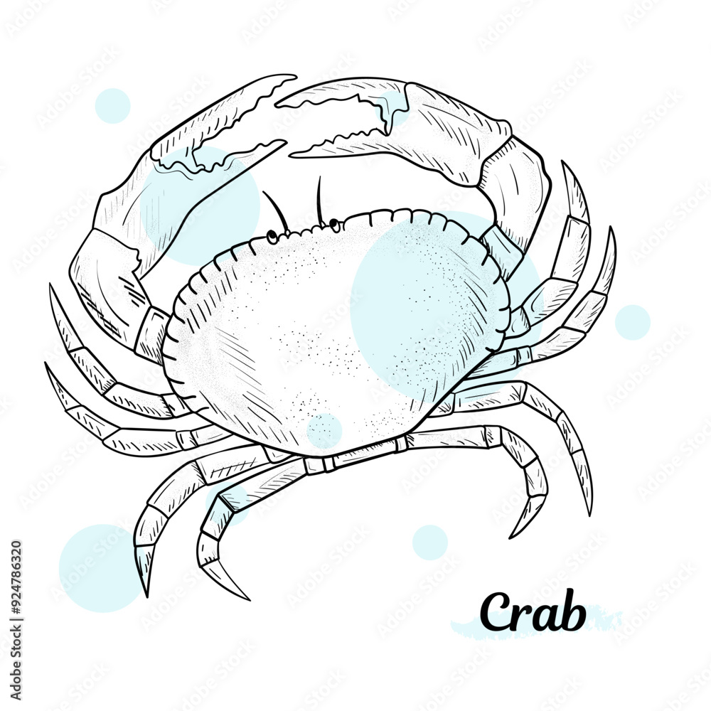 Ink sketch of Crab with claws isolated on white background. Hand drawn ...